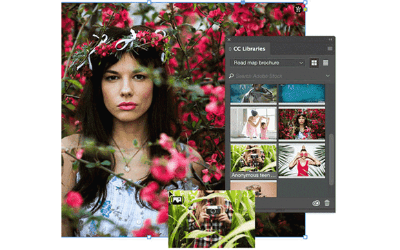 adobe creative suite uk